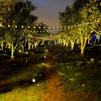 Lightscaping – Redefine and illuminate your space.